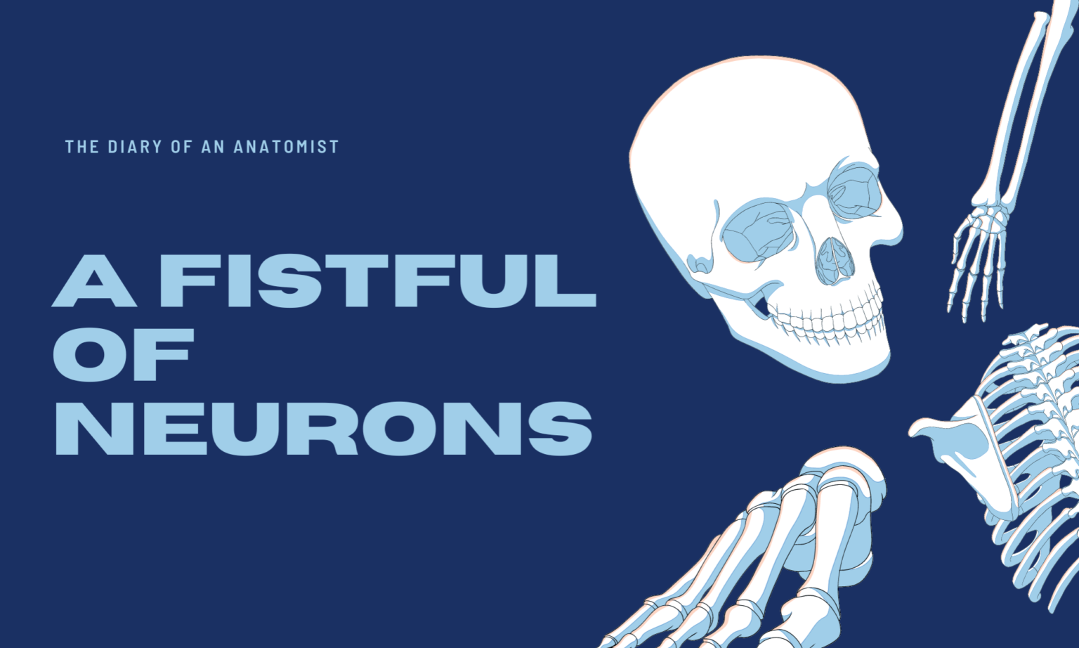 4 Must-Read Anatomy Books – A Fistful of Neurons